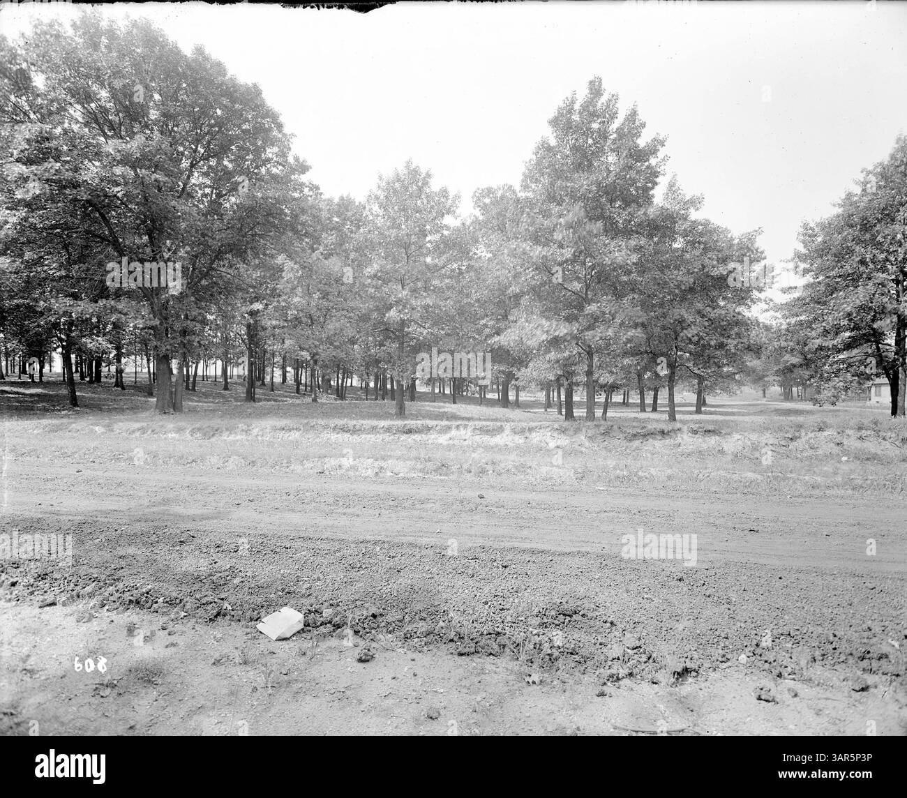 A landscape view from the northeast of Cleveland School grounds ...