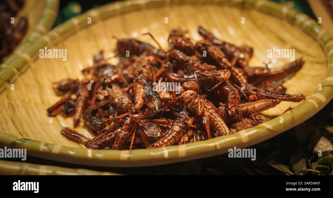 Chengdu, Sichuan, China. Fried Grasshoppers. Popular Snacks In ...
