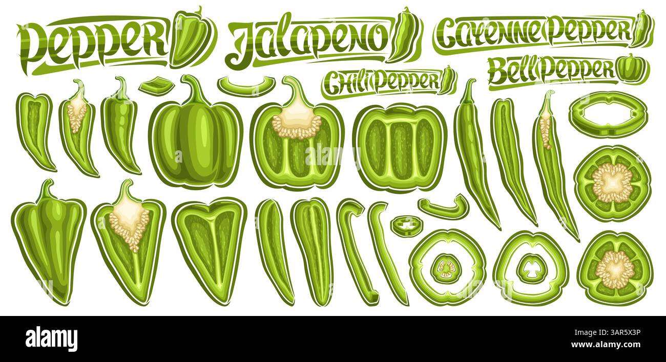 Vector Green Pepper Set, lot collection of cut out outline ...