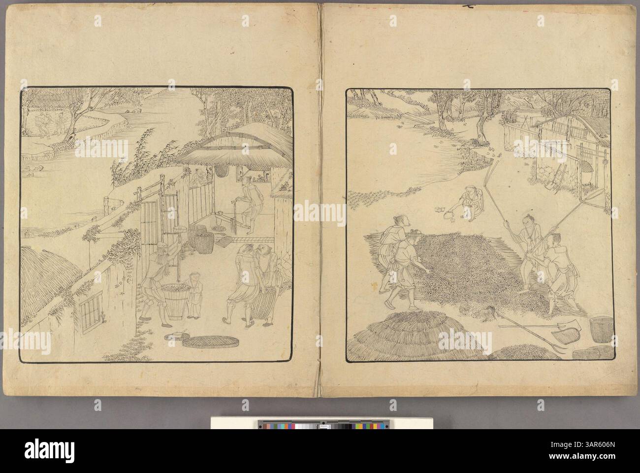The Geng Zhi Tu manuscript, part of the University of Oregon Libraries ...