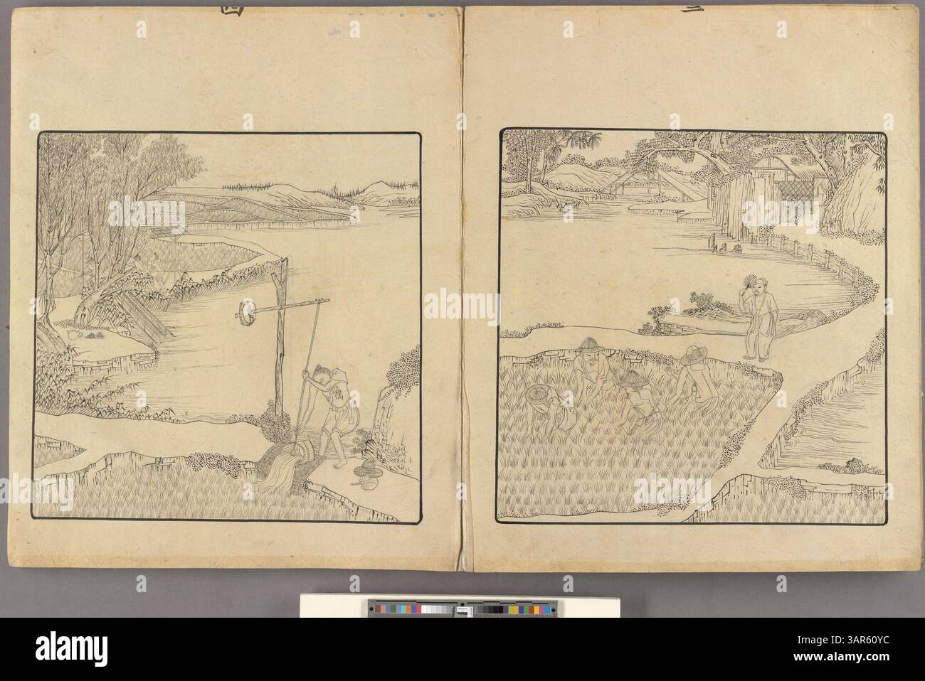 'Geng Zhi Tu' offers a unique combination of illustrated depictions and ...