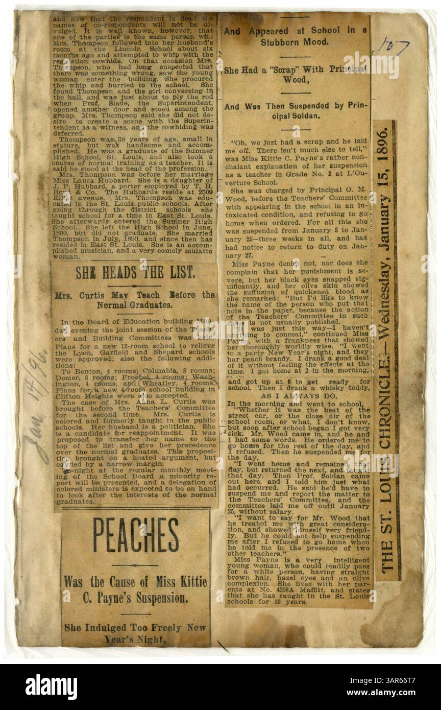 stubborn person crossword clue