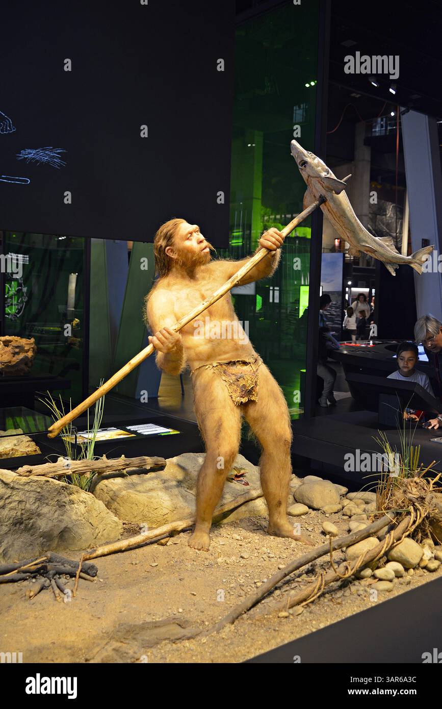 CosmoCaixa-Science Museum of Barcelona,Catalonia,Spain Stock Photo - Alamy