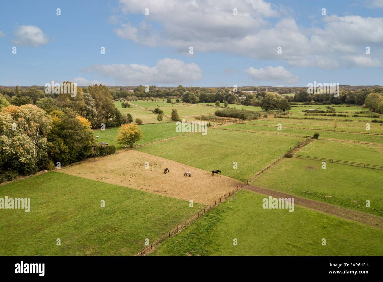an aerial view of a field with horses in the distance and some trees on ...