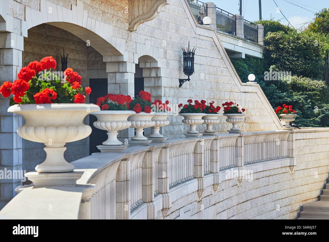 Ornamental white stone railing adorned with vibrant red flowers in the ...