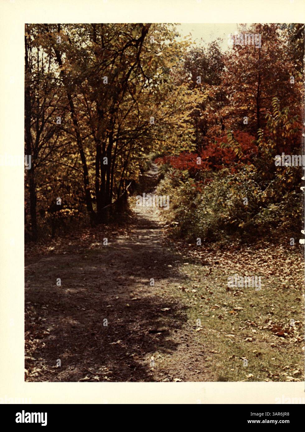 The 1971 Sagamore Yearbook from Roosevelt High School showcases the ...