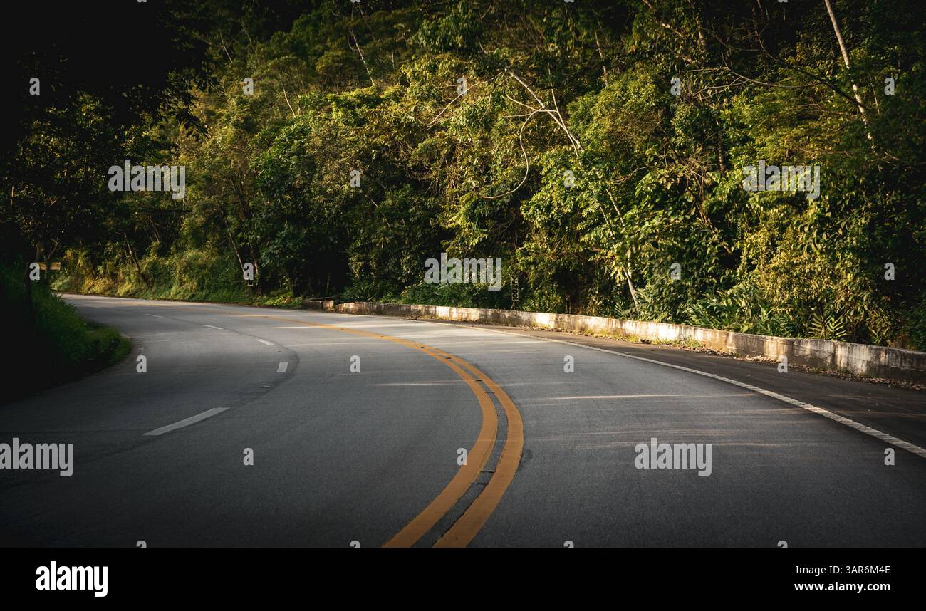 Forest Highway Winding Through Lush Greenery in Brazil Stock Photo - Alamy