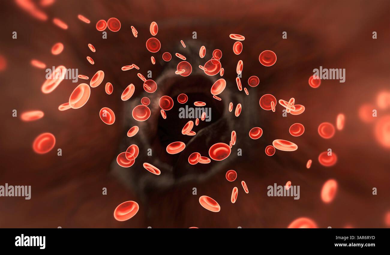 Red blood cells in vessel hi-res stock photography and images - Alamy