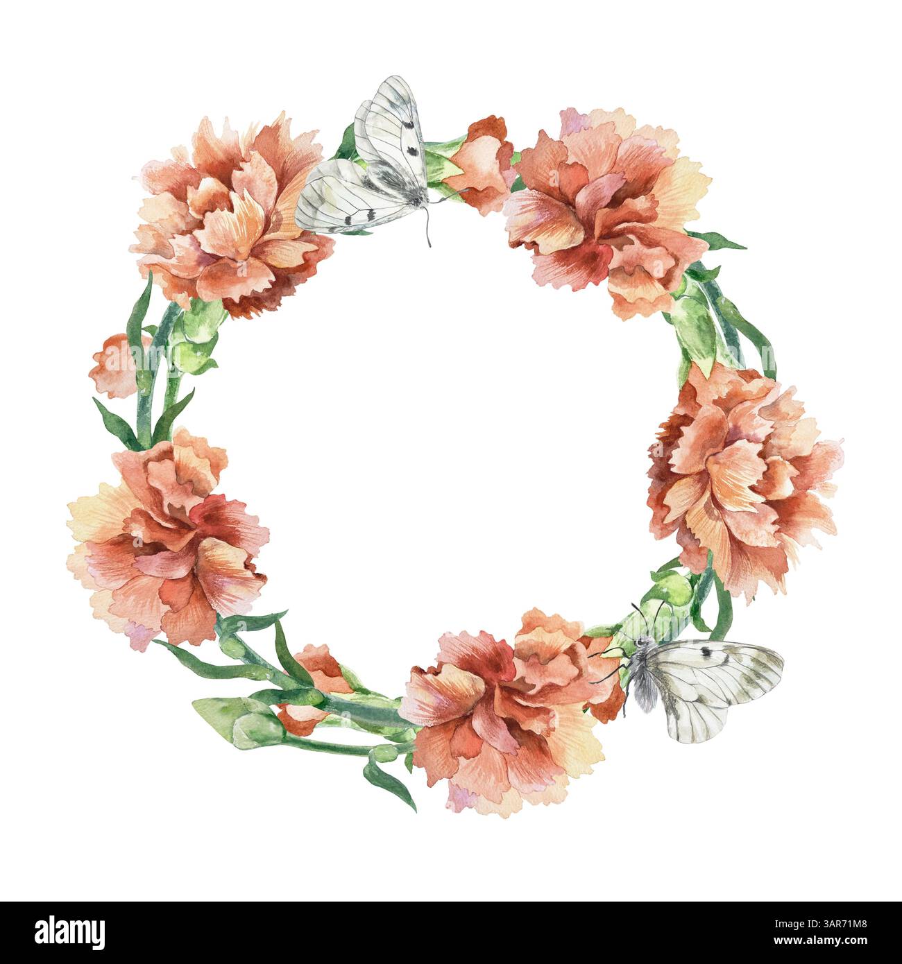 Red carnations wreath. Round floral frame with butterflies. Hand drawn ...