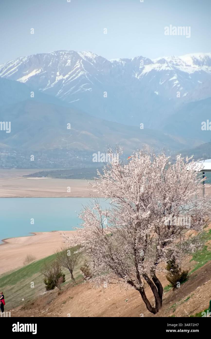 Charvak (chorvoq) Reservoir, Uzbekistan – March 22, 2025, Around the ...