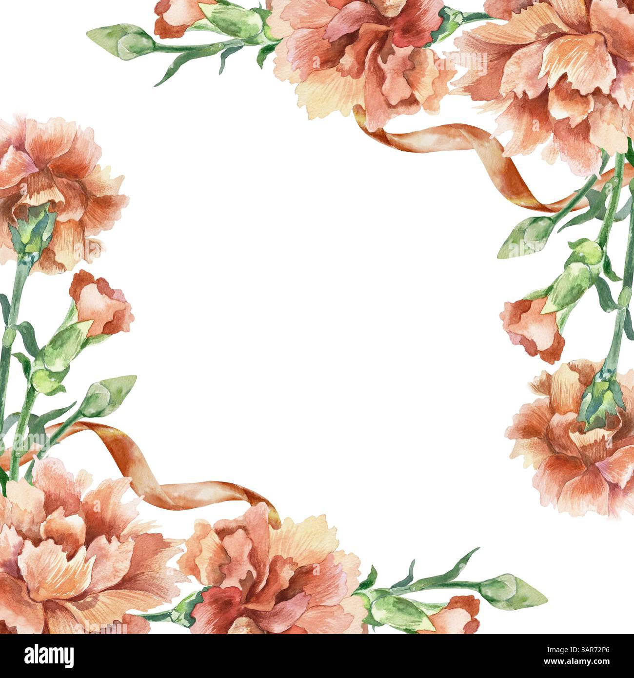 Red carnations square frame with flowers and ribbon on corners. Hand ...