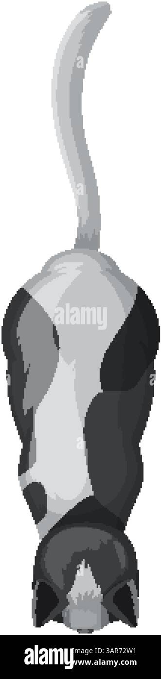 Black cat view from above Stock Vector Images - Alamy
