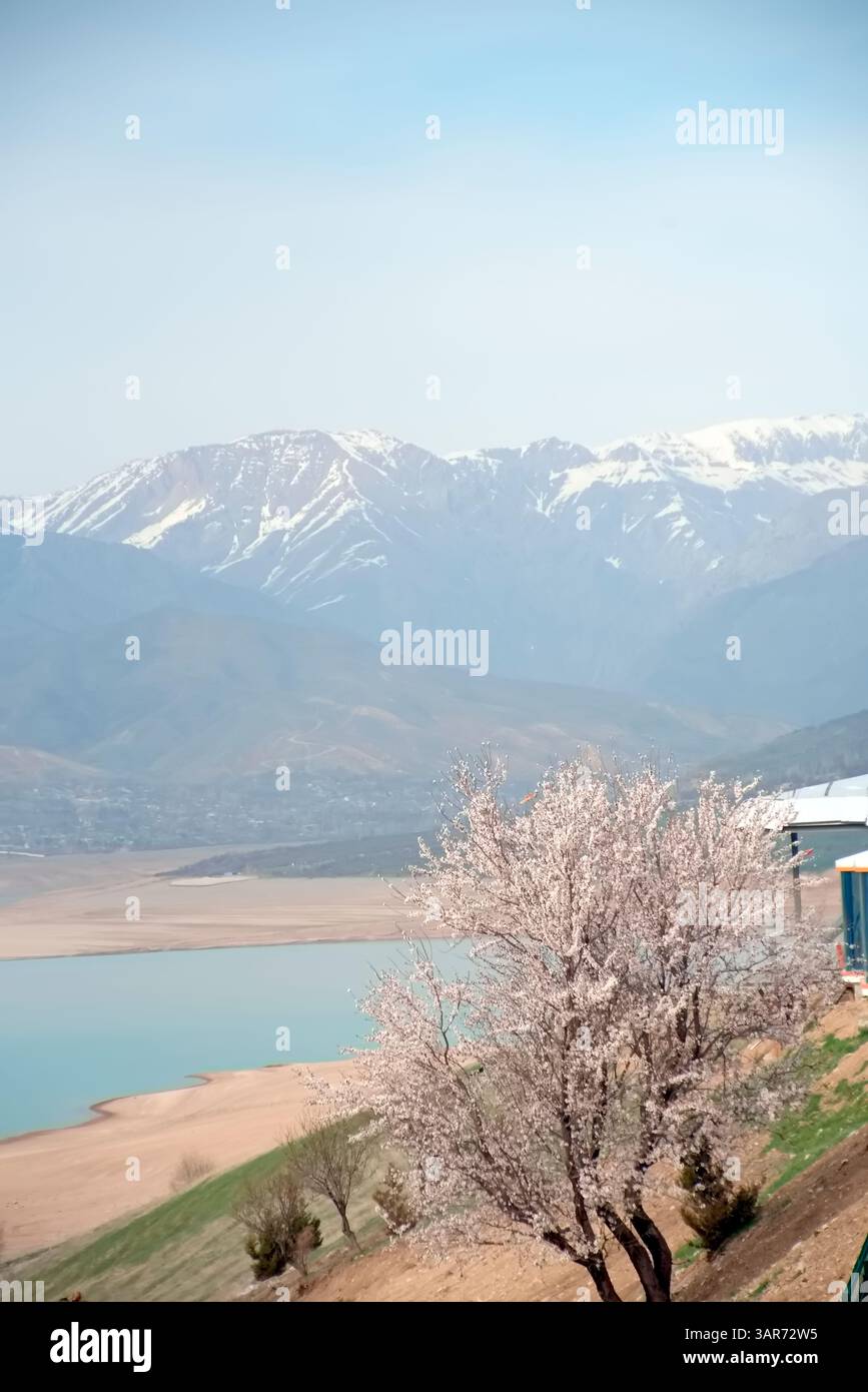 Charvak (chorvoq) Reservoir, Uzbekistan – March 22, 2025, Around the ...