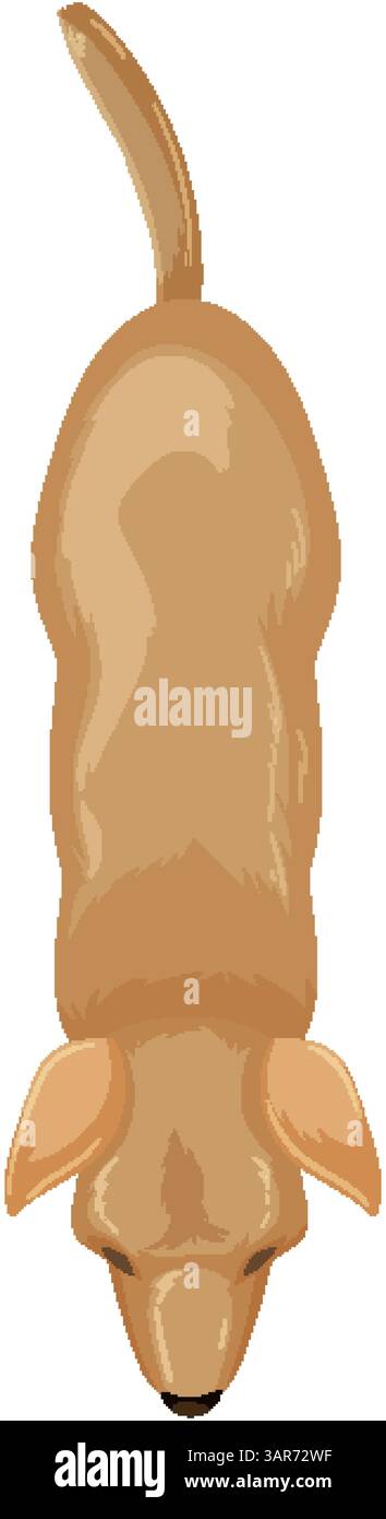 Aerial view top down from Cut Out Stock Images & Pictures - Alamy