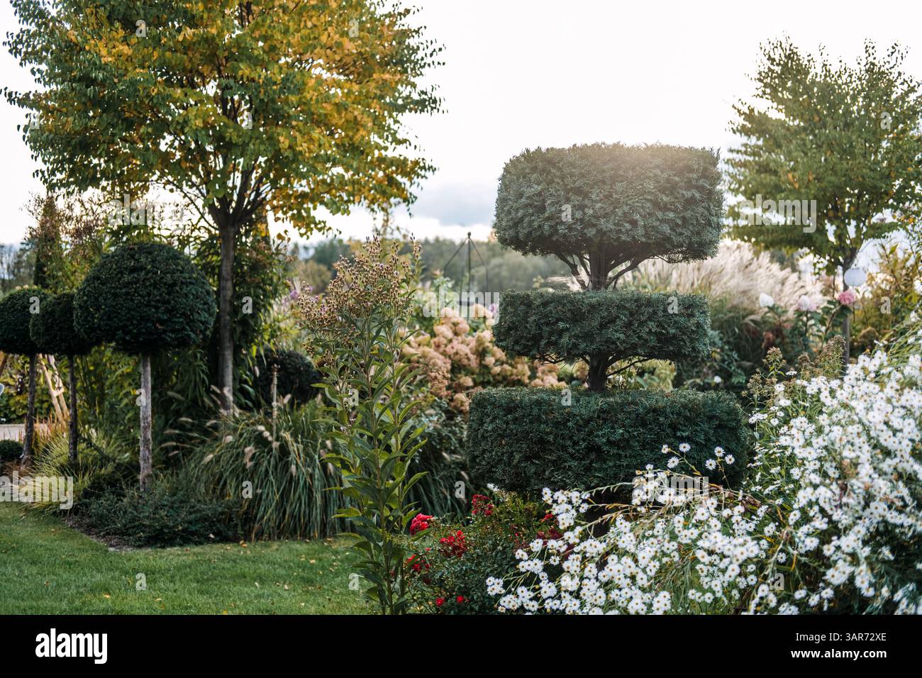 Tiered topiary tree surrounded by wildflowers and ornamental plants in ...