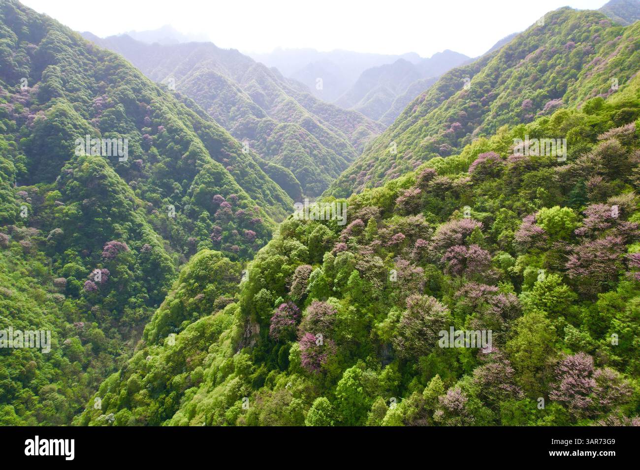 **CHINESE MAINLAND, HONG KONG, MACAU AND TAIWAN OUT** Aerial photo ...