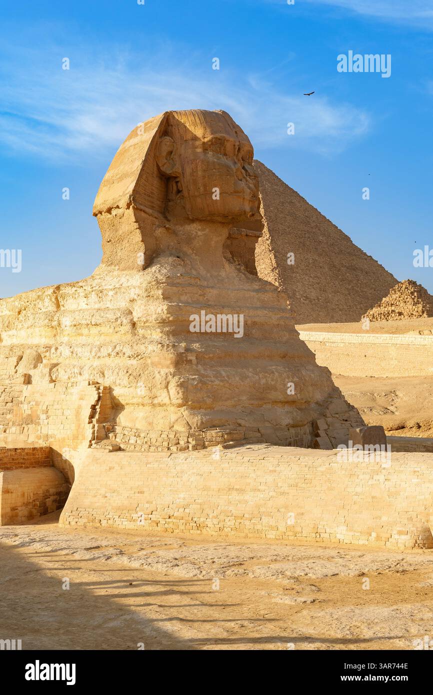 Giant Sphinx stands guard before the Great Pyramid under a clear blue ...