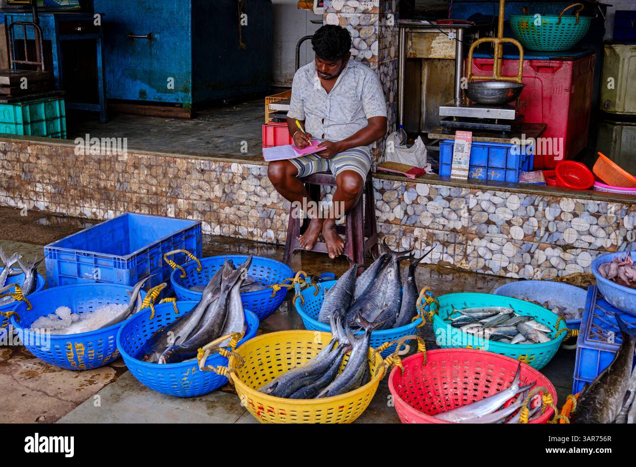 India, Goa state, Penha de Franc, fish market Stock Photo - Alamy