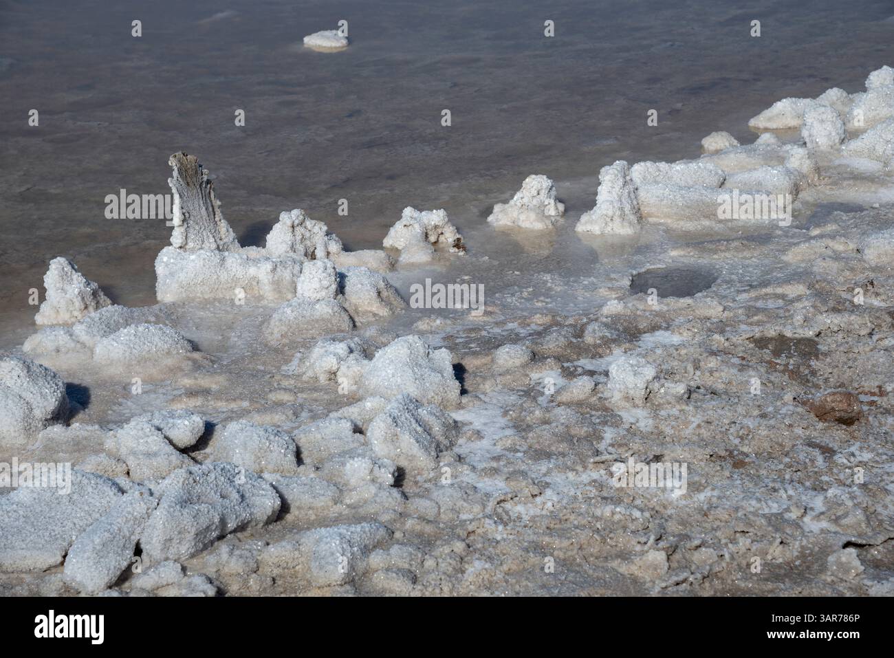 Salt deposits on the shore of Lake Elton, Russia Stock Photo - Alamy