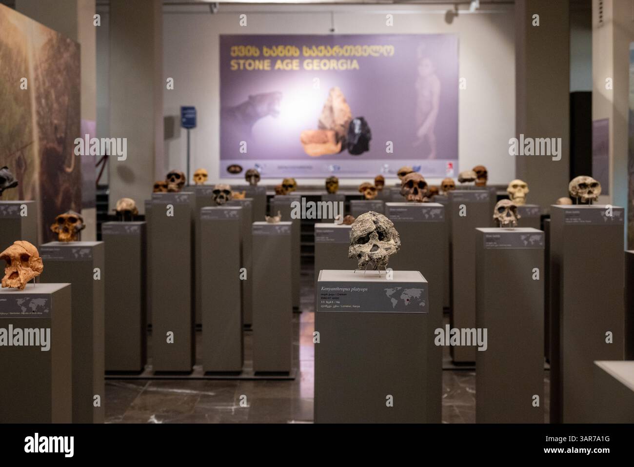 Exhibition of ancient artifacts and prehistoric Stone Age remains in ...