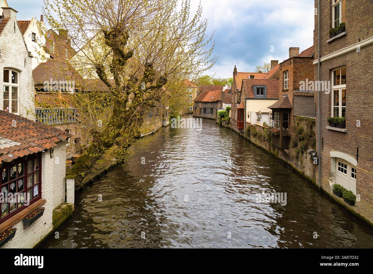 Picturesque canal in Bruges, Belgium, lined with traditional houses and ...