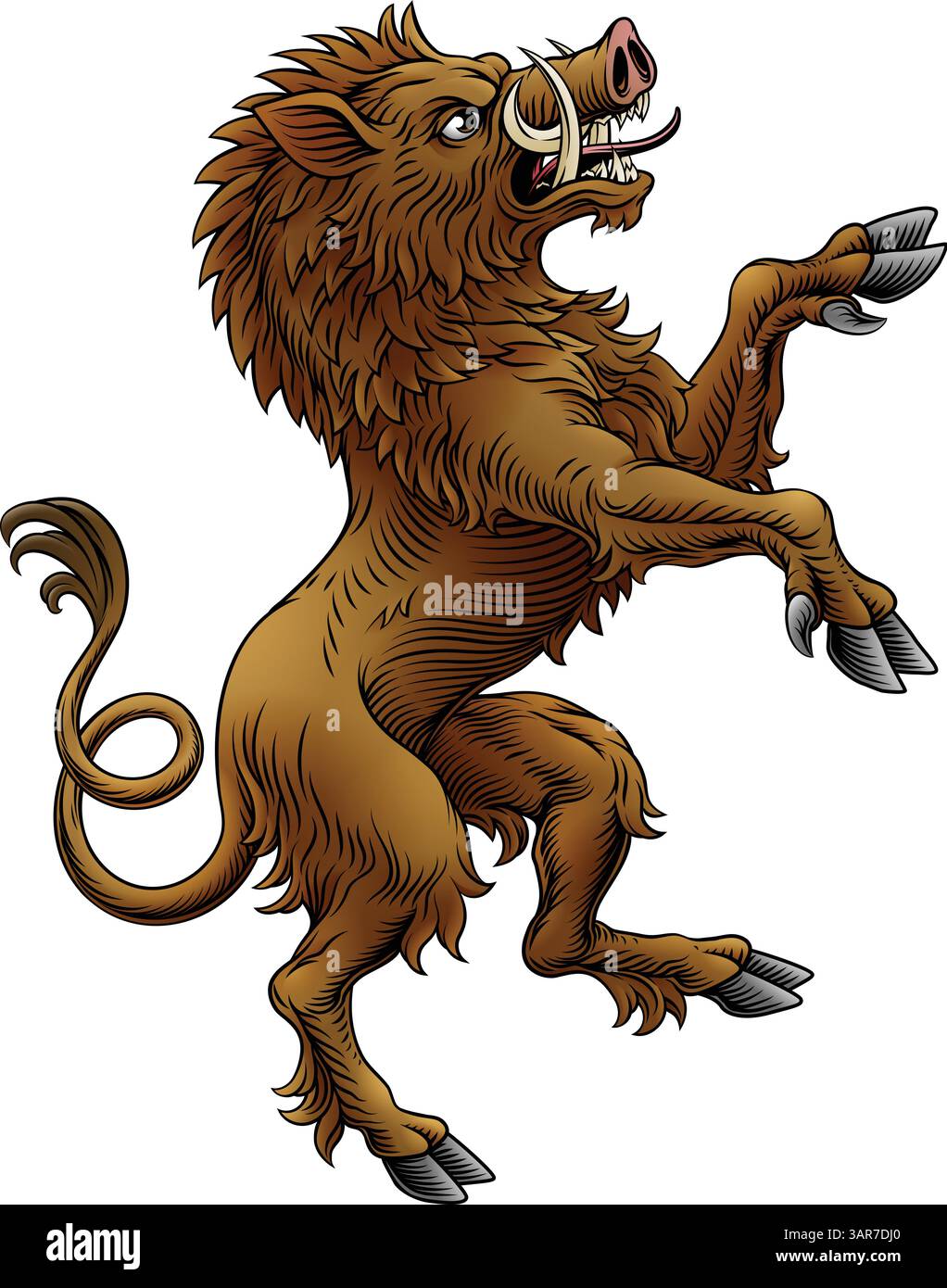 Celtic boar vector hi-res stock photography and images - Alamy