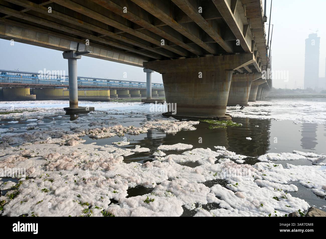India 16th Apr 2025 NEW DELHI INDIA APRIL 16 A View Froth