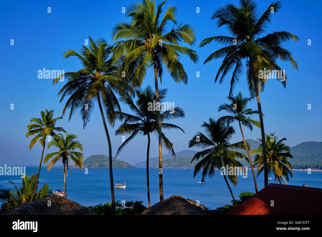 India, Goa, Canacona, Palolem beach Stock Photo - Alamy