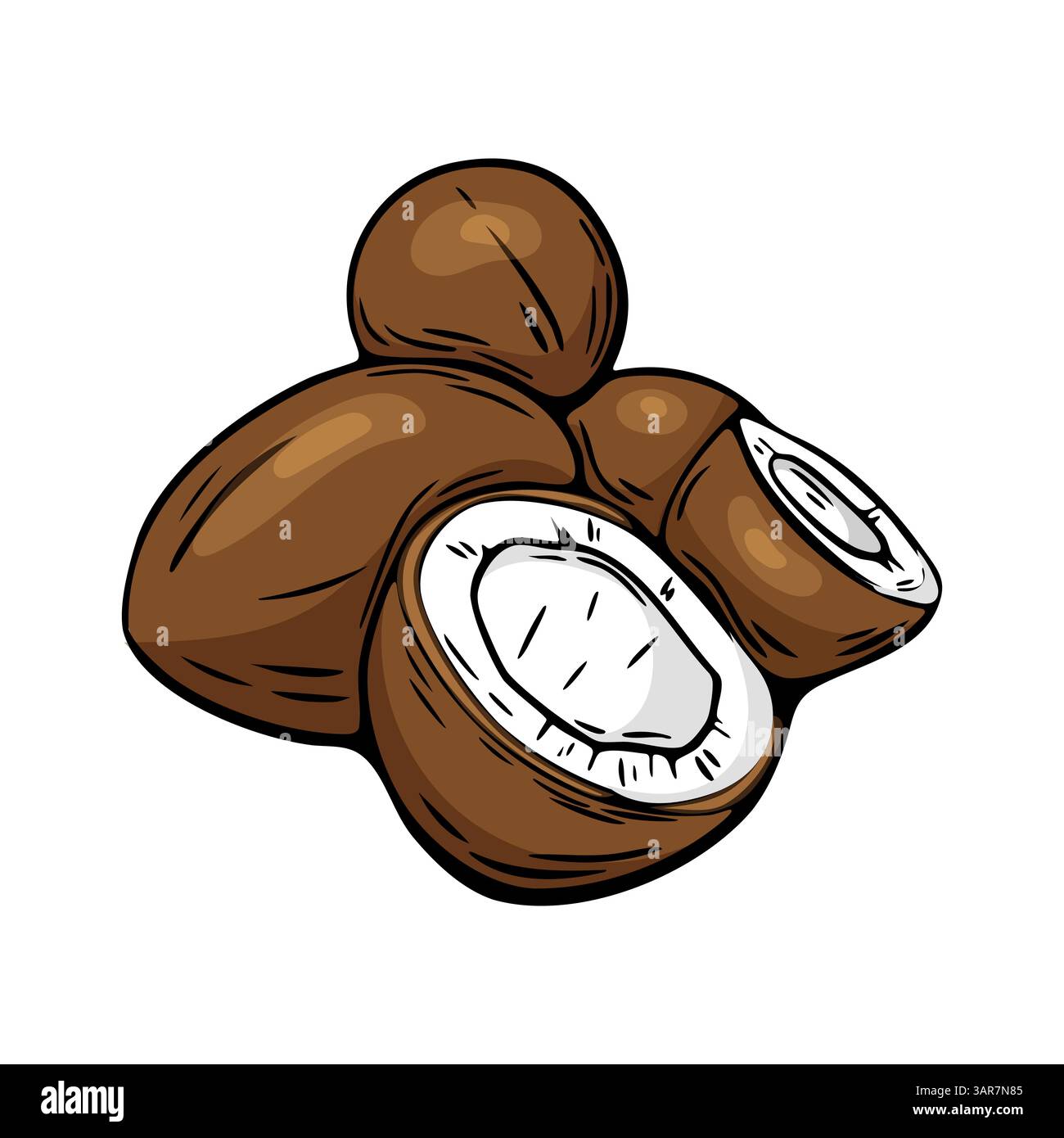 Vector coconut drawing with half and whole nuts in color. Perfect for ...