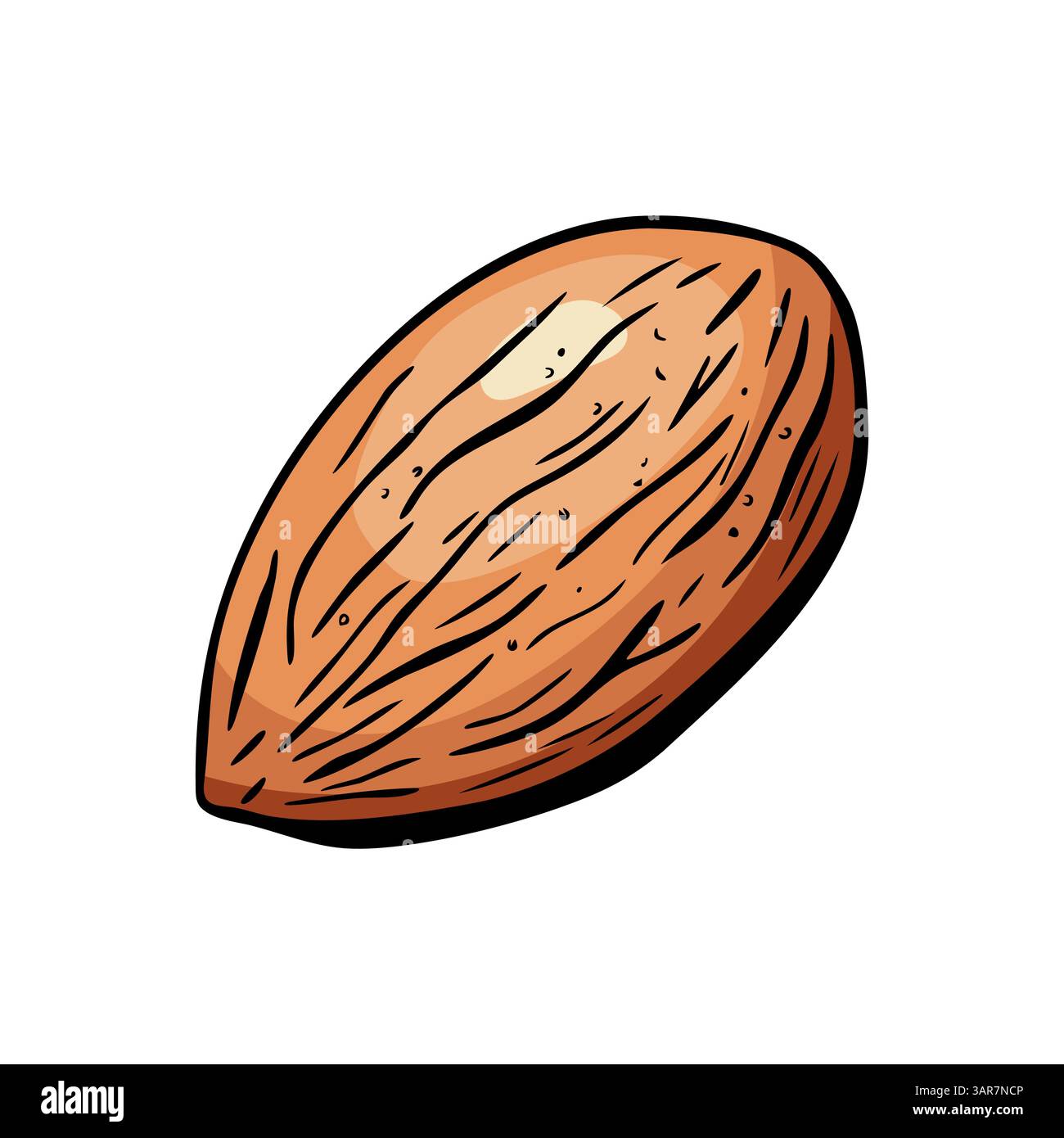 Illustrated almond in full color vector. Great for logos, food ...