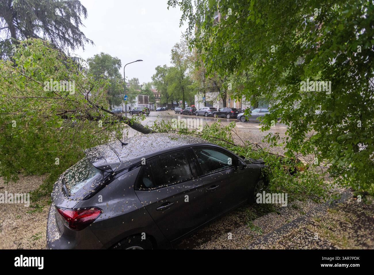 Milano, Italia. 17th Apr, 2025. Grosso ramo caduto in Piazza Occhialini ...
