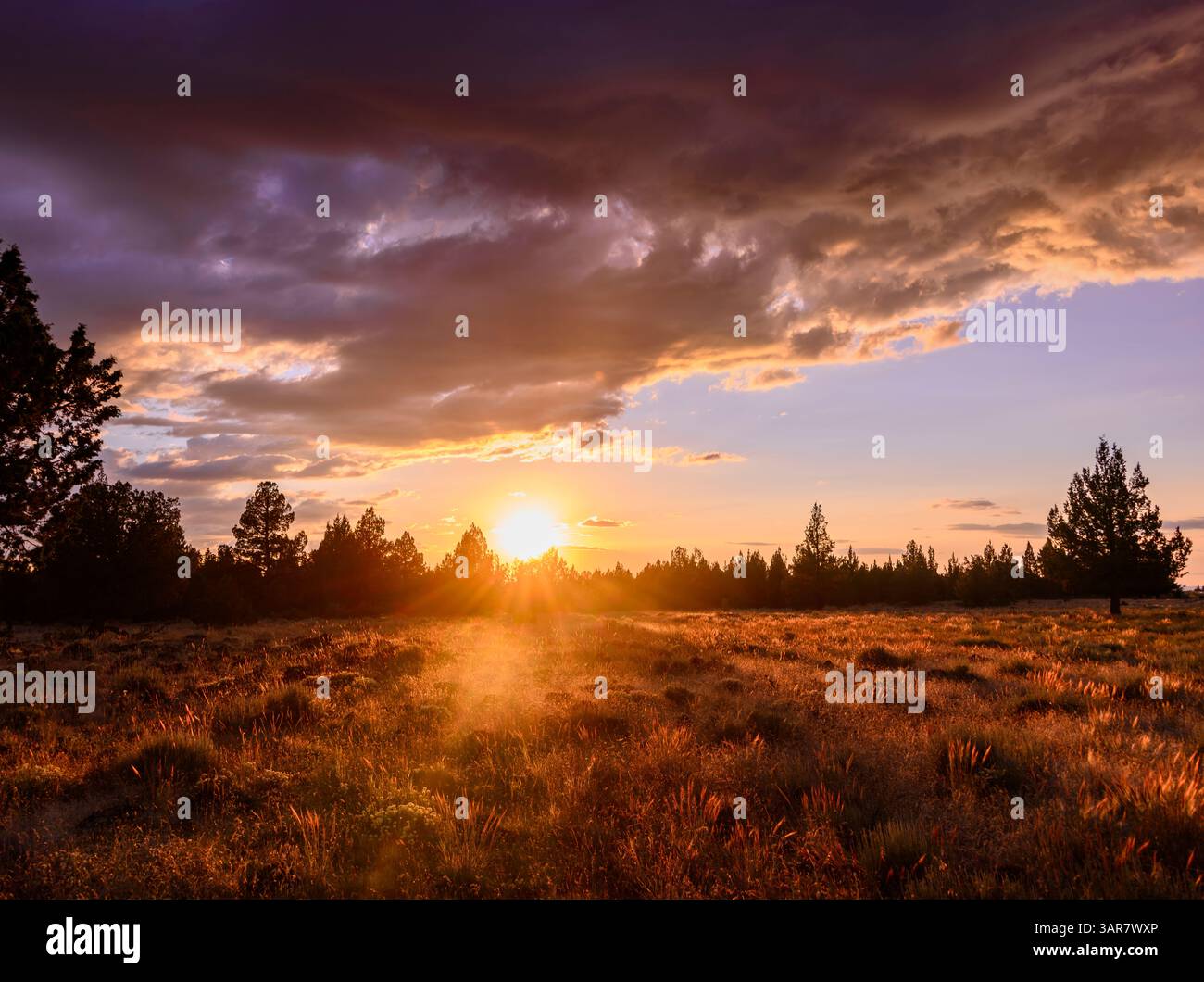A stunning sunset unfolds over a quiet landscape, casting warm golden ...