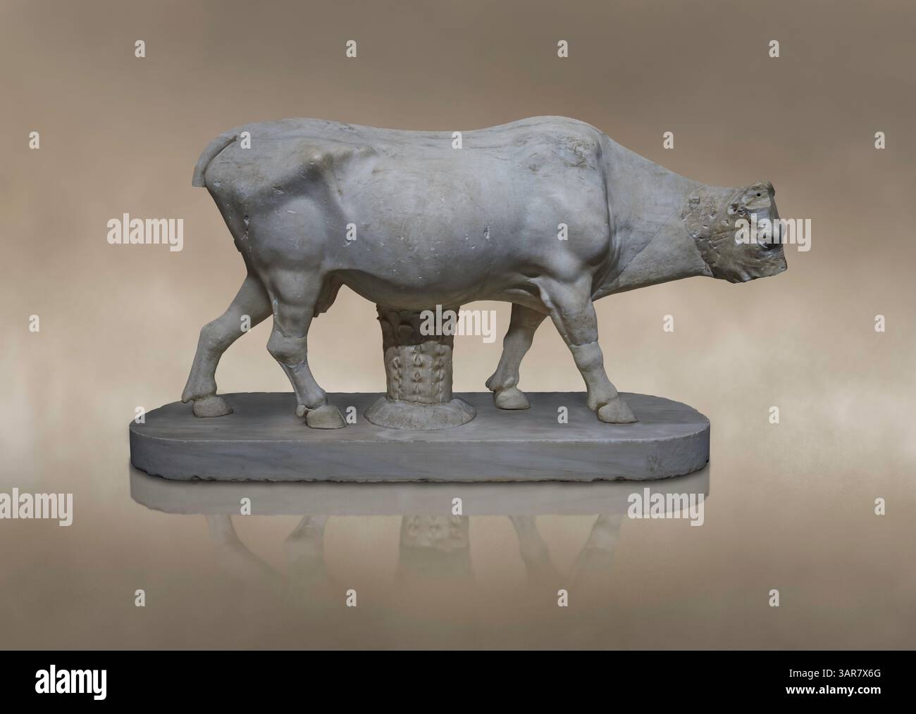 Roman sculpture of a cow. Roman copy of a famous bronze statue by Greek ...