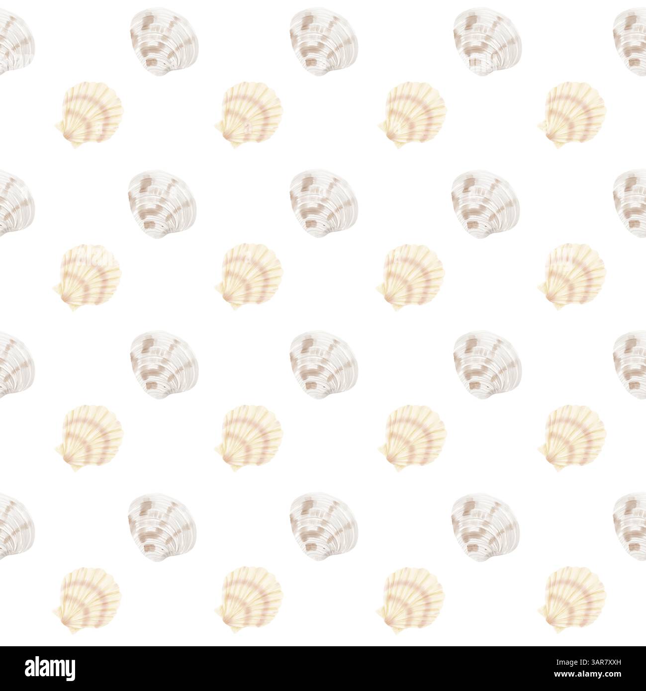Scallop, beige shells from the ocean floor. Seamless pattern ...