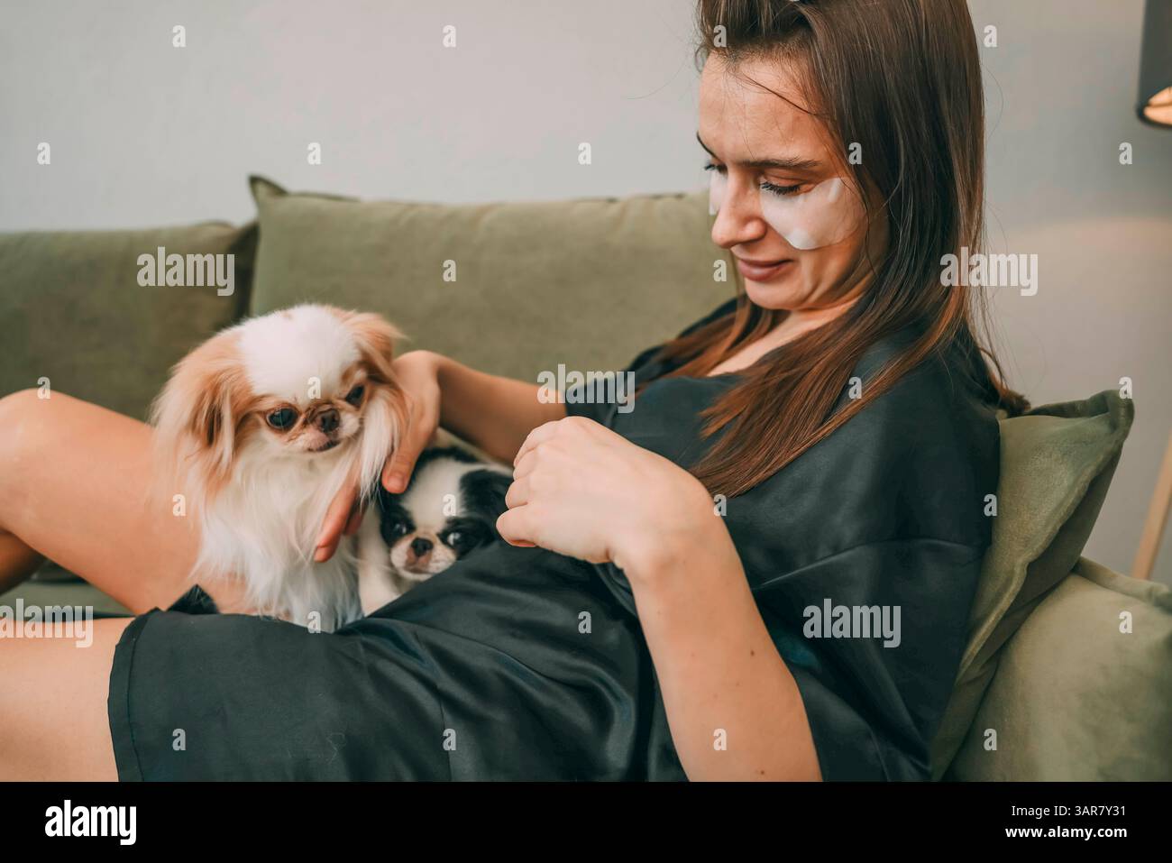 woman in black silk robe grooming fluffy dog on sofa, relaxed morning ...