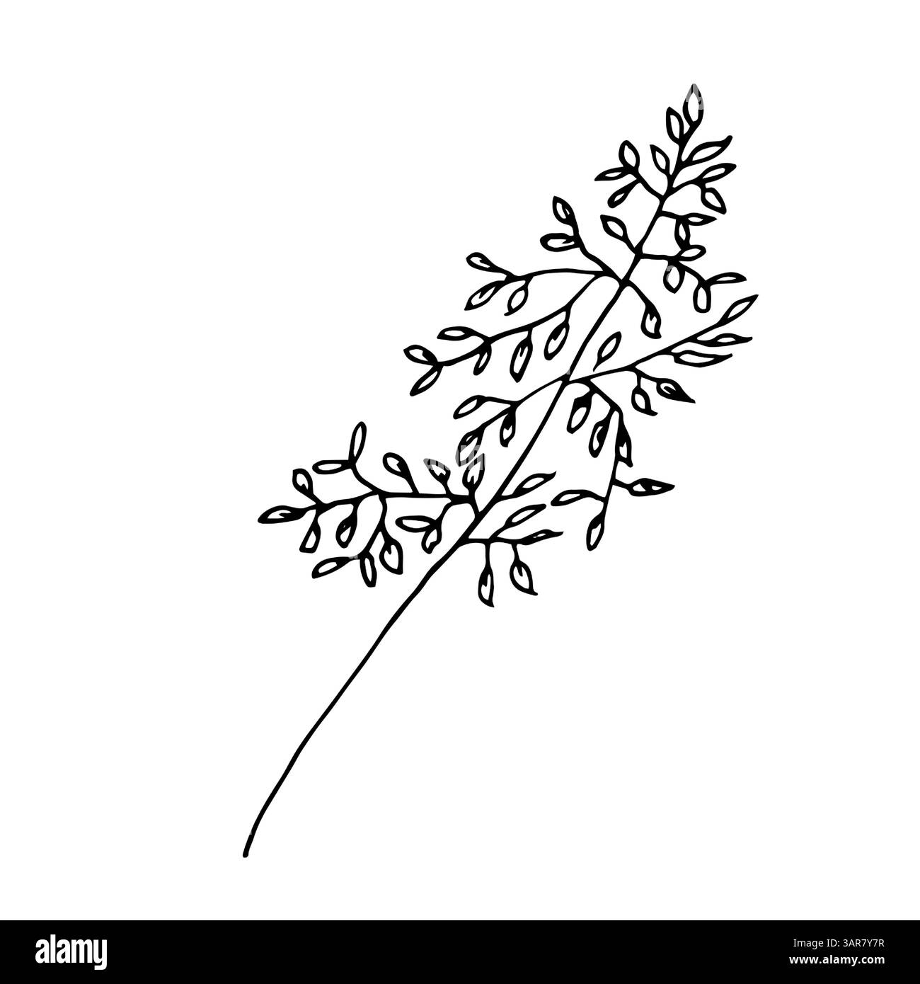 Landscape flower bush on Black and White Stock Photos & Images - Alamy