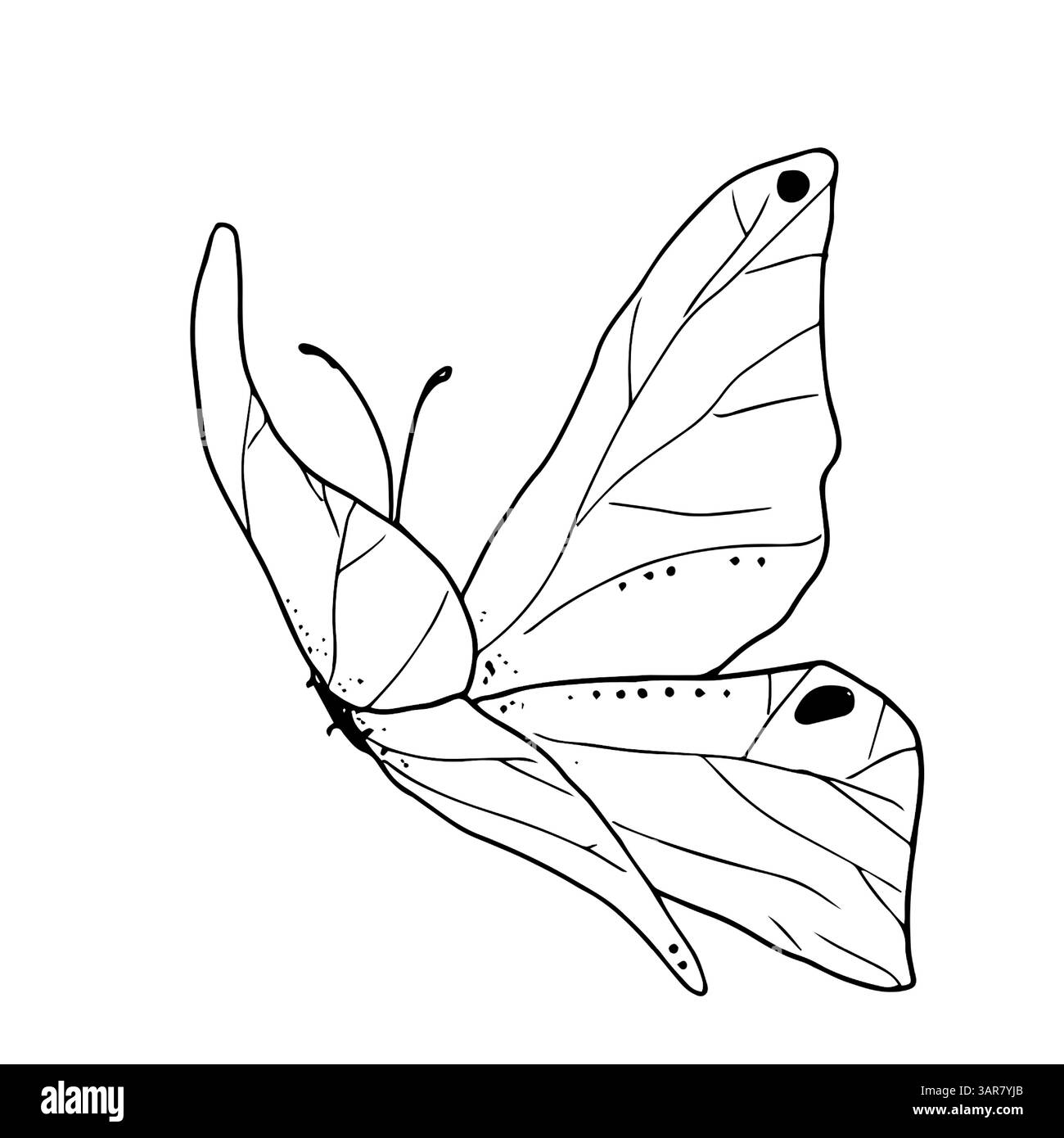 Moth book Stock Vector Images - Alamy