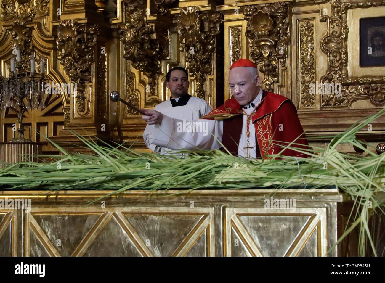 Palm Sunday Celebration In Mexico Archbishop Primate of Mexico, Carlos ...