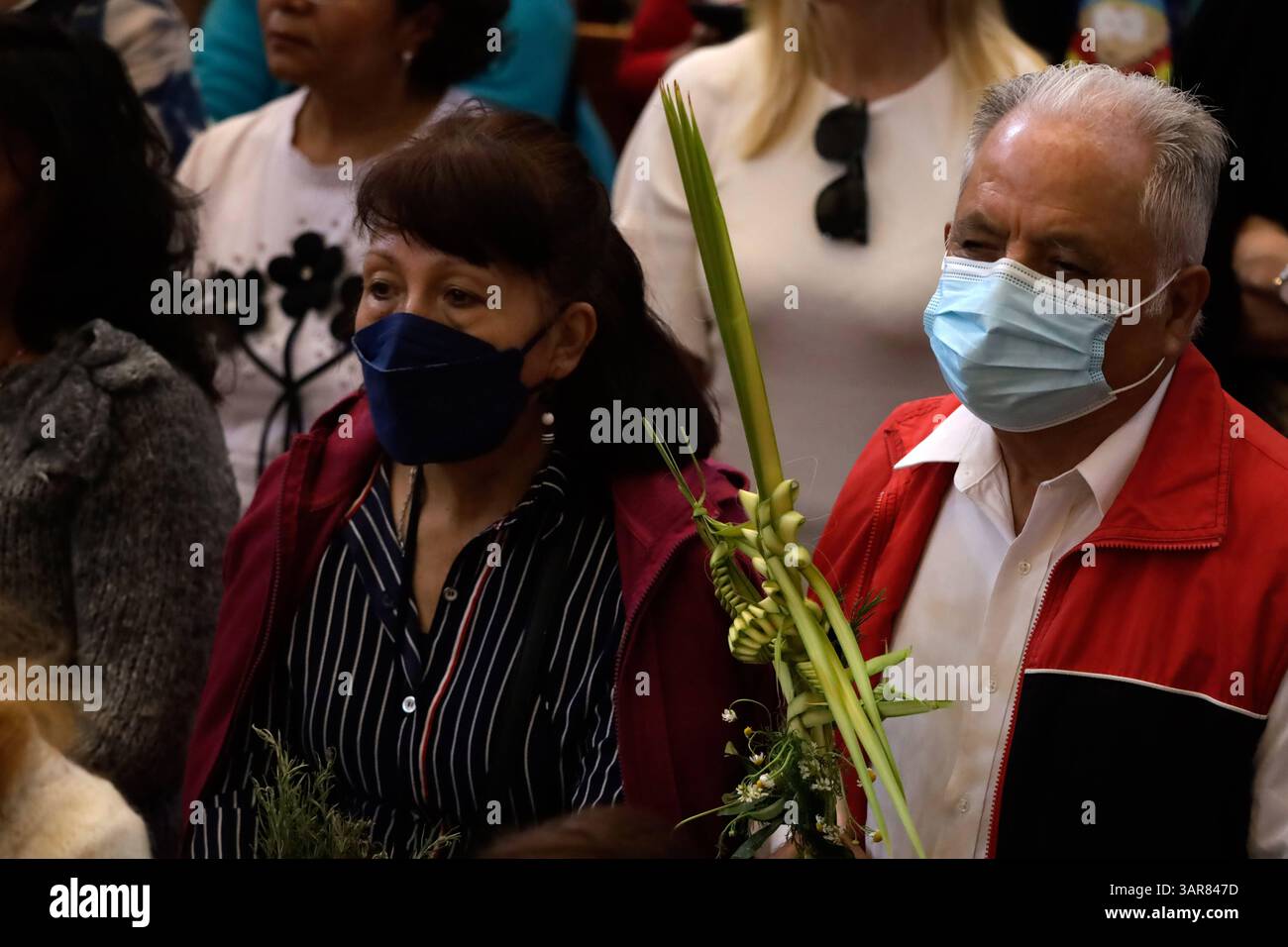 Palm Sunday Celebration In Mexico Catholic faithful hold palm branches ...