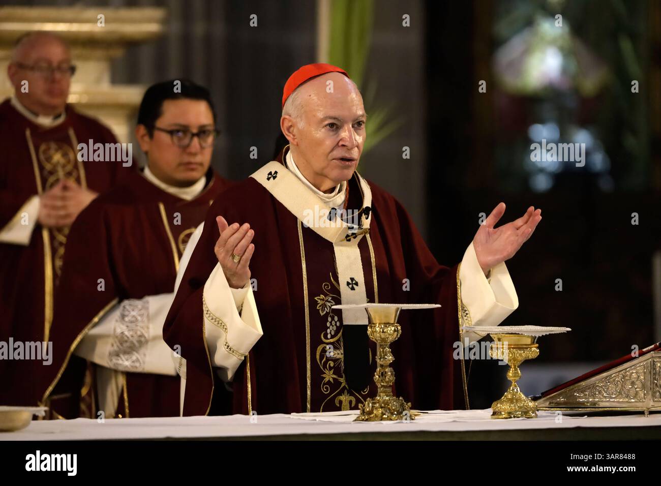 Palm Sunday Celebration In Mexico Archbishop Primate of Mexico, Carlos ...