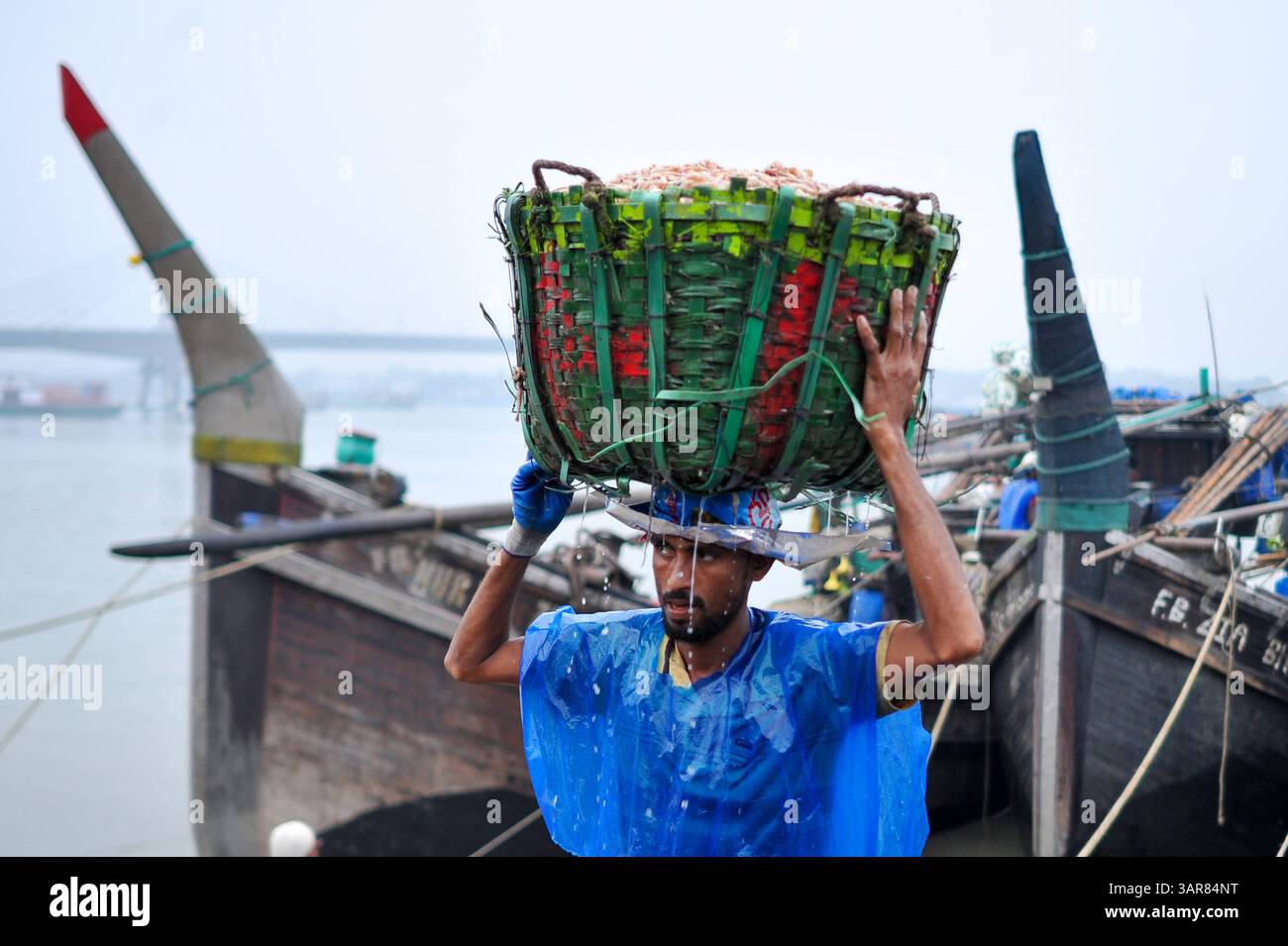 Workers Distribute Sea Products To Wholesale Fish Market Workers unload ...