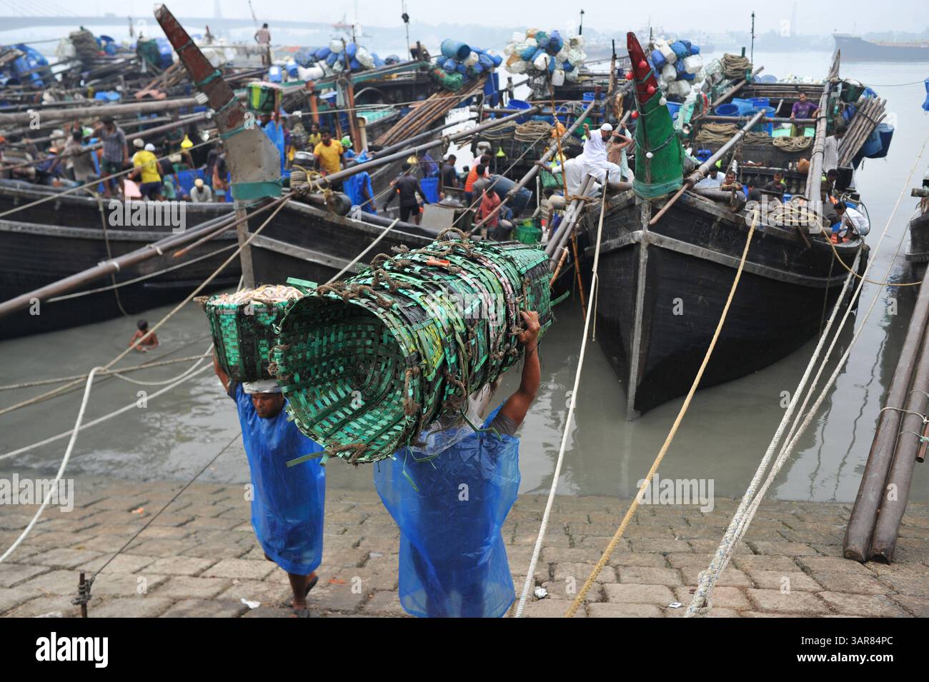 Workers Distribute Sea Products To Wholesale Fish Market Workers unload ...