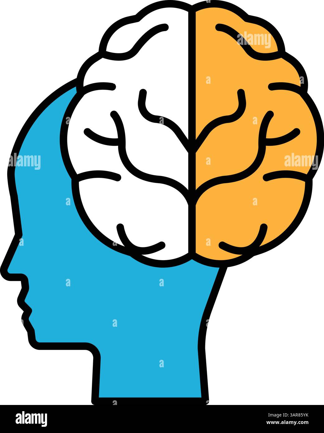 A brain with a white and orange half is shown. The brain is shown in a ...