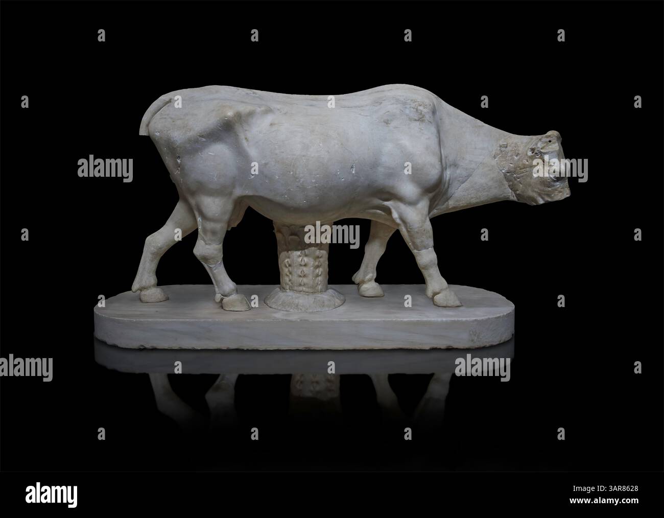 Roman sculpture of a cow. Roman copy of a famous bronze statue by Greek ...