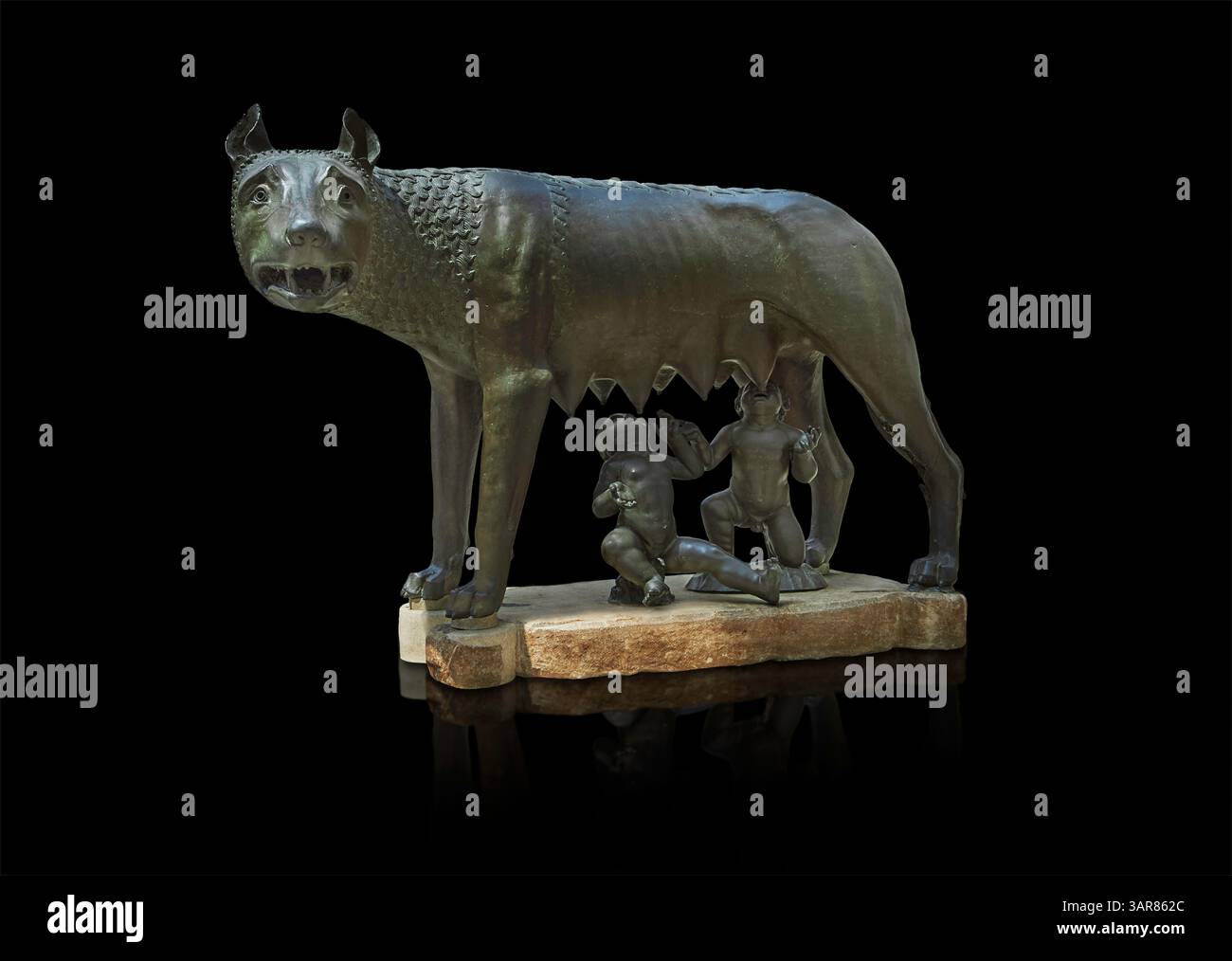 Etruscan bronze sculpture of known as the Capitoline She Wolf depicting ...
