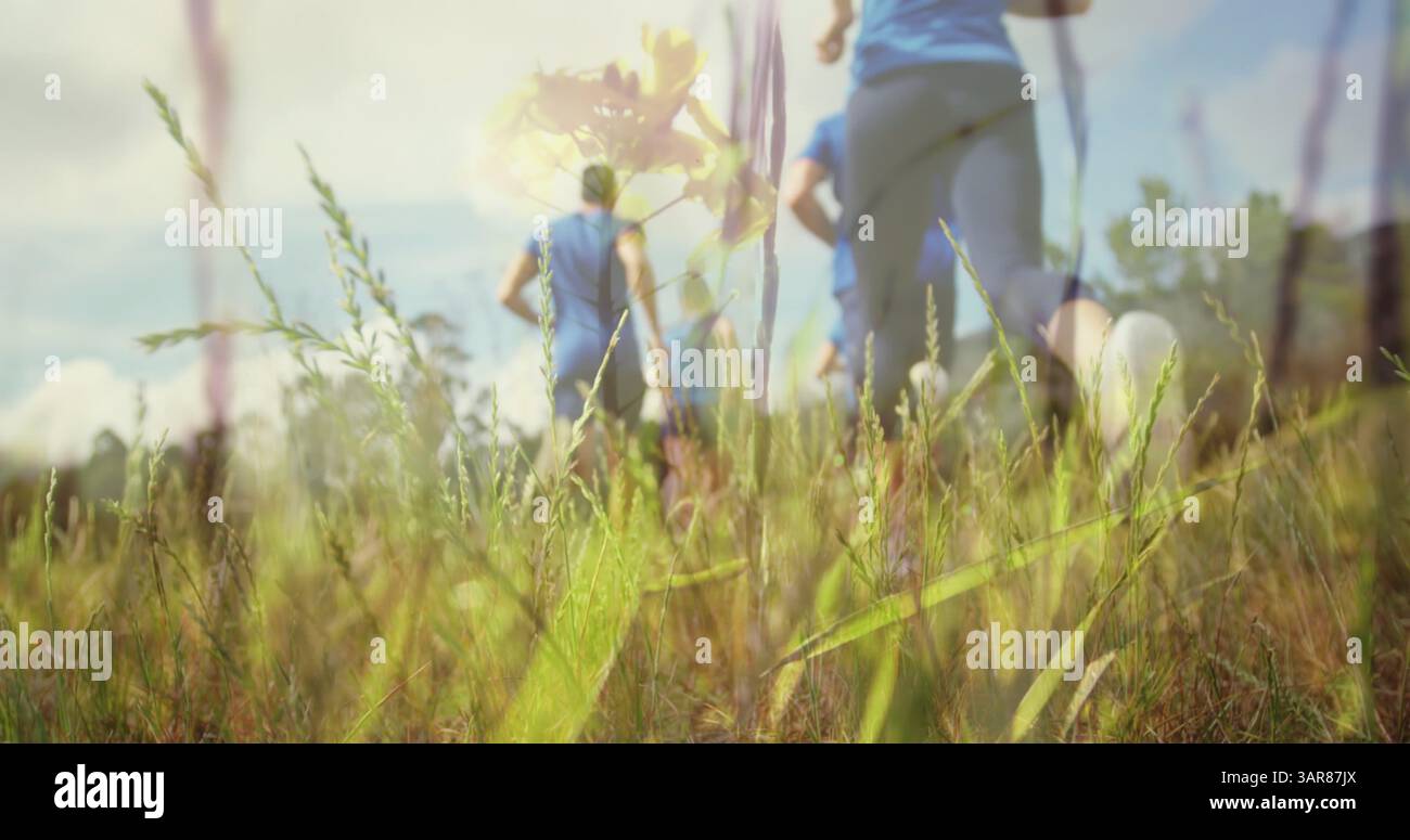 Image of group of caucasian male and female runners over grass Stock ...