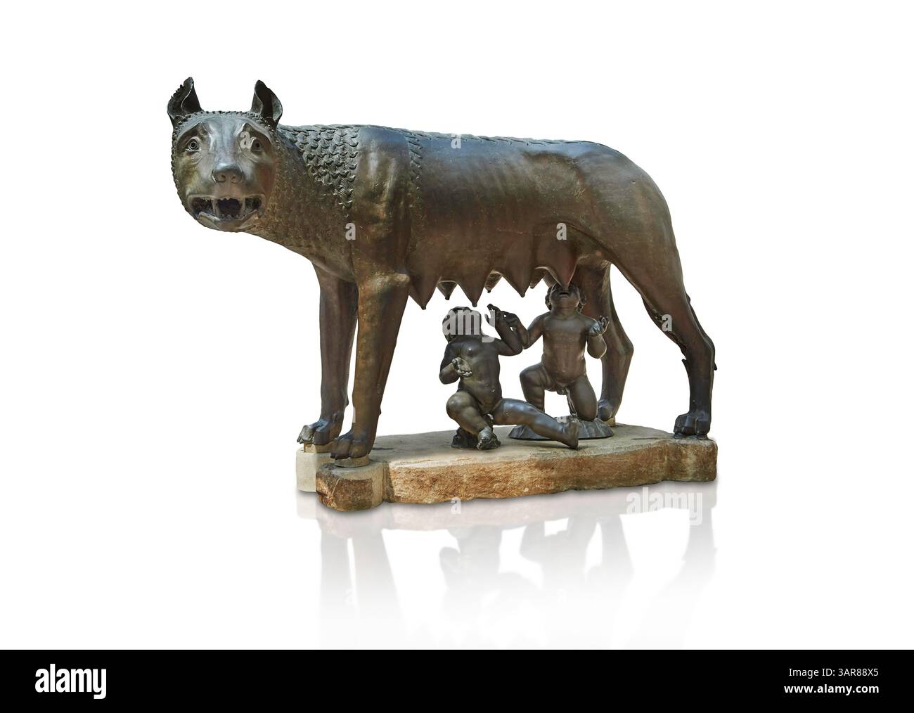 Etruscan bronze sculpture of known as the Capitoline She Wolf depicting ...
