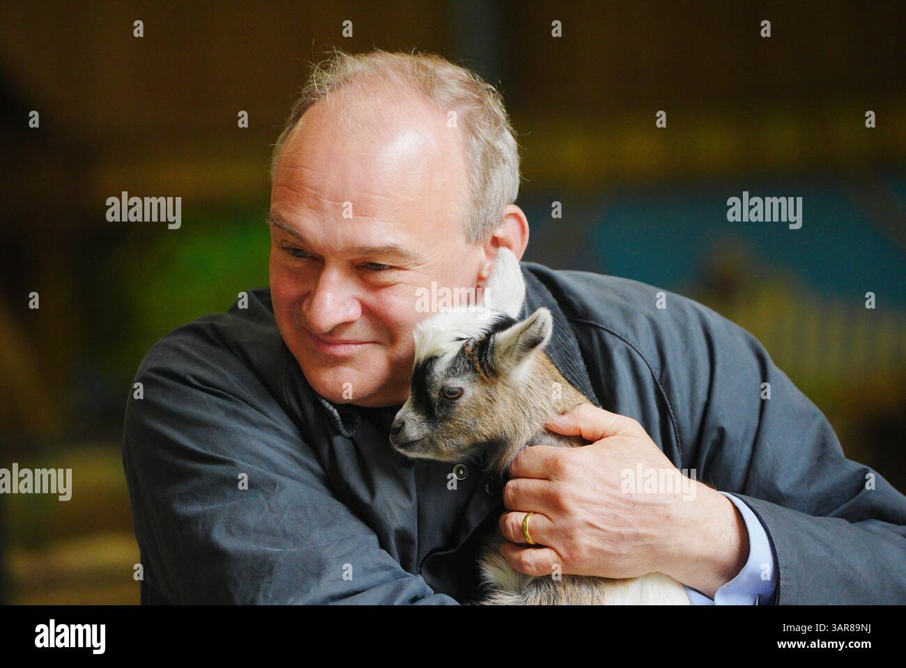 Liberal Democrats leader Sir Ed Davey with a five day old miniature ...