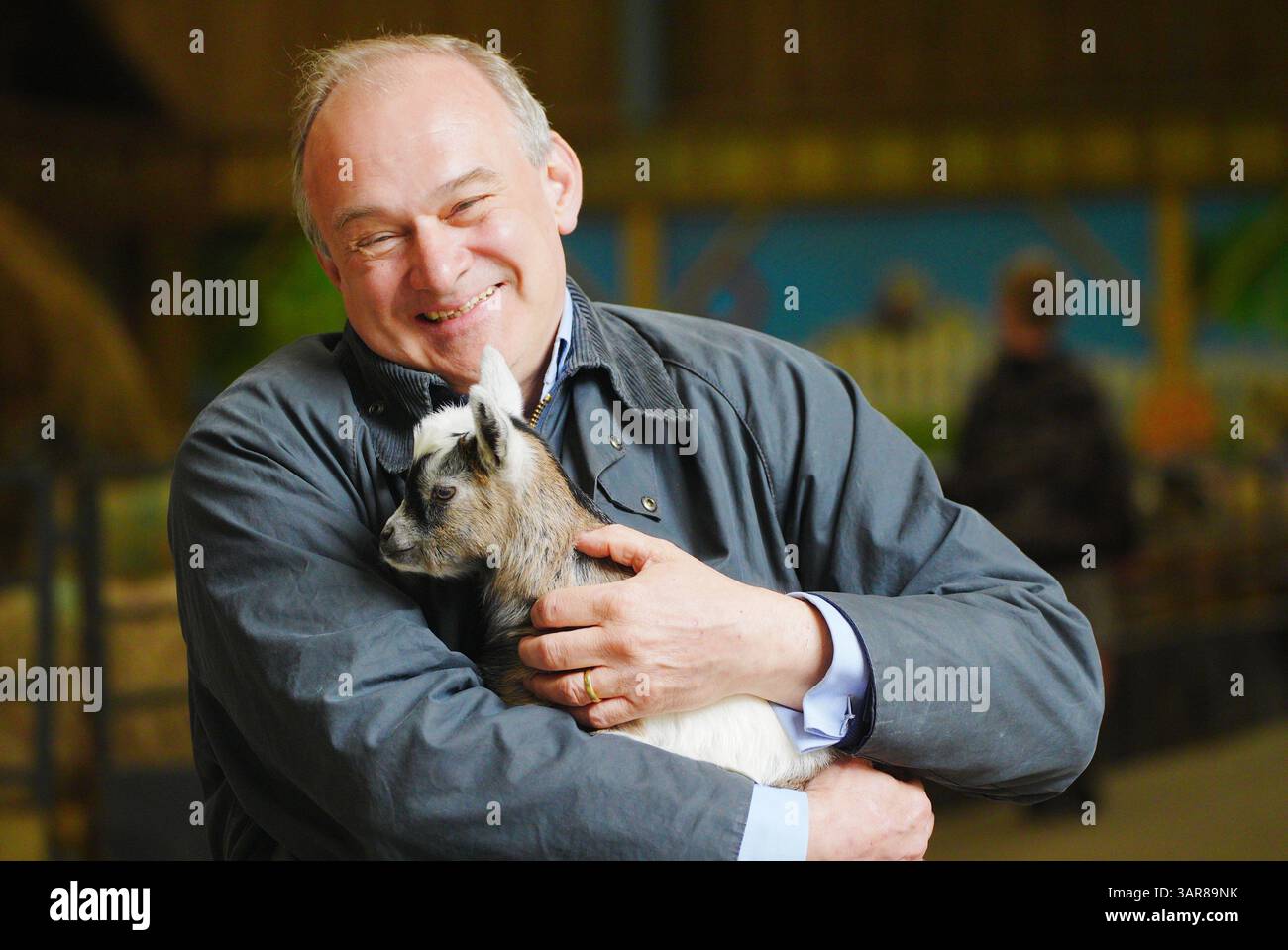 Liberal Democrats leader Sir Ed Davey with a five day old miniature ...