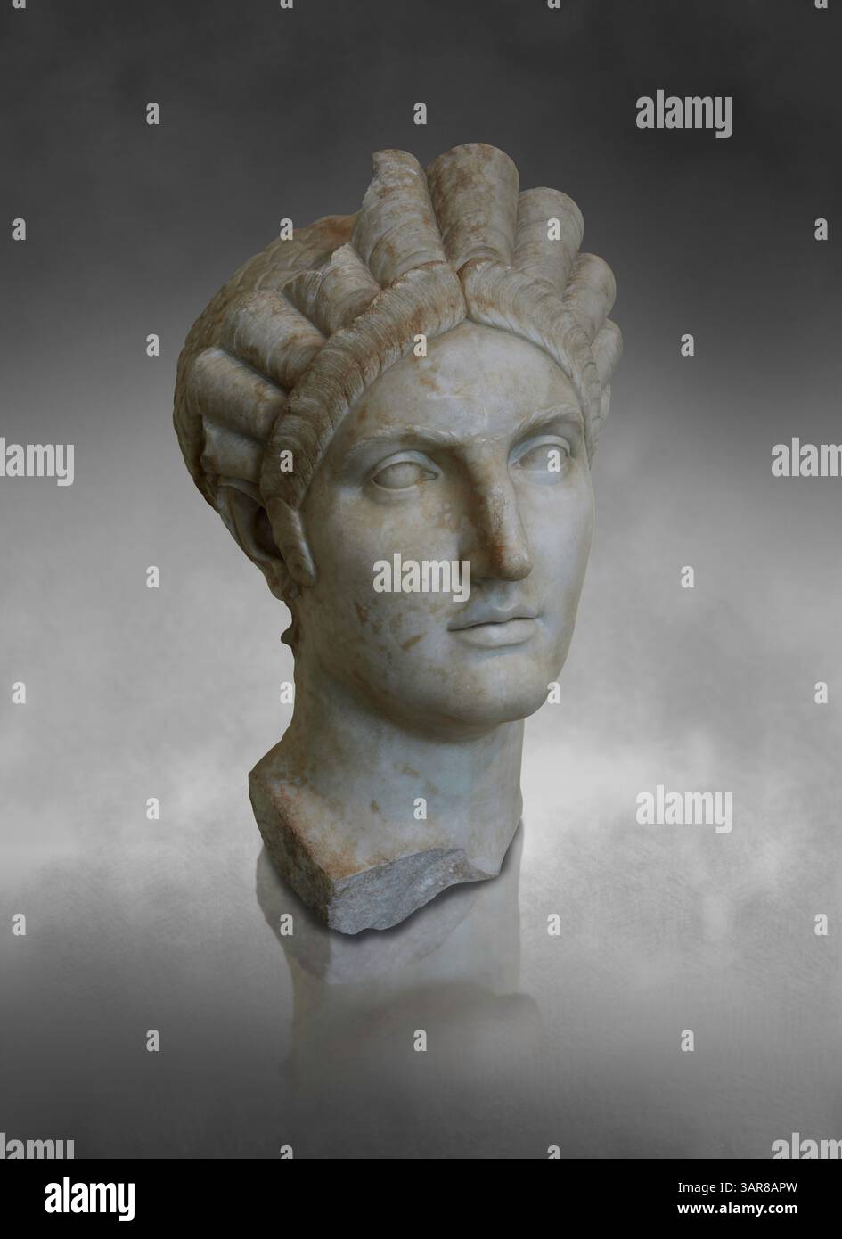 Roman marble portrait bust of Matidia circa 119 AD excavated from Via ...